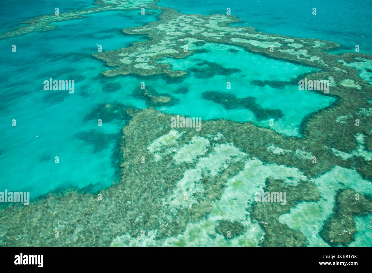 Australia, Queensland, Whitsunday Coast, Great Barrier Reef. Aerial of ...