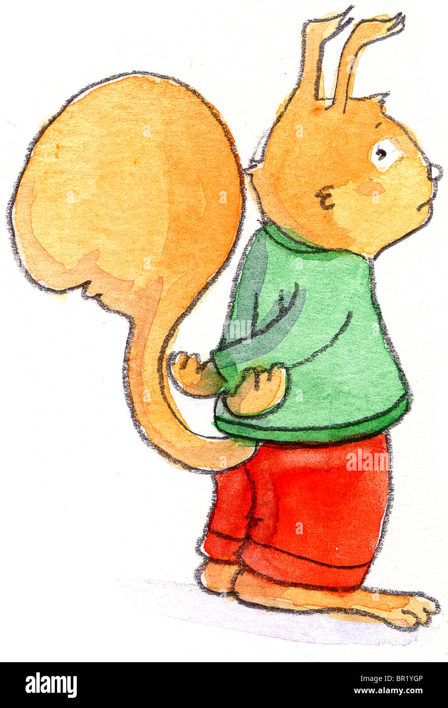 Back of a squirrel hi-res stock photography and images - Alamy