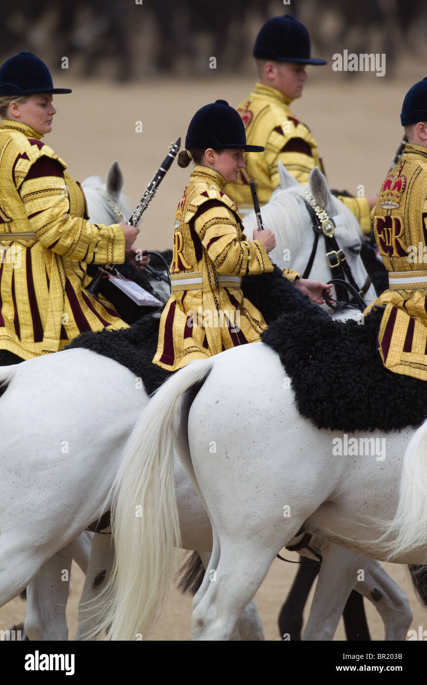 Mounted Bands of the Household Cavalry. "Trooping the Colour" 2010 ...