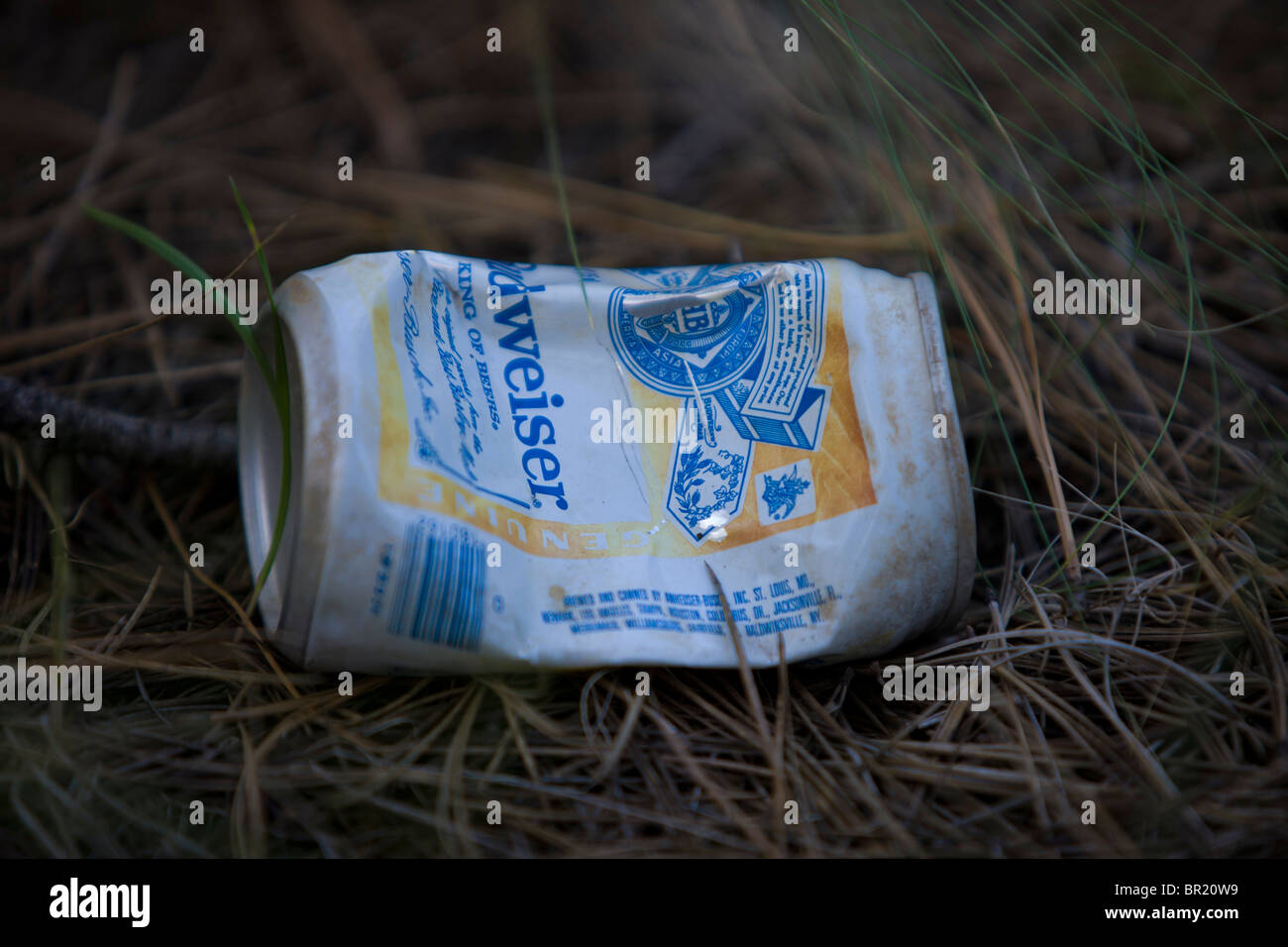 Beer Can Litter in Mountains Stock Photo - Alamy