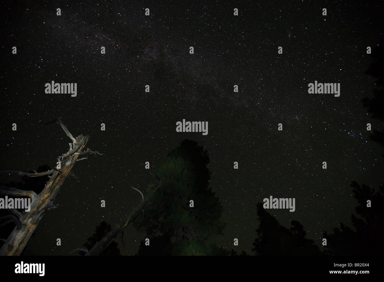 Star track trail hi-res stock photography and images - Alamy