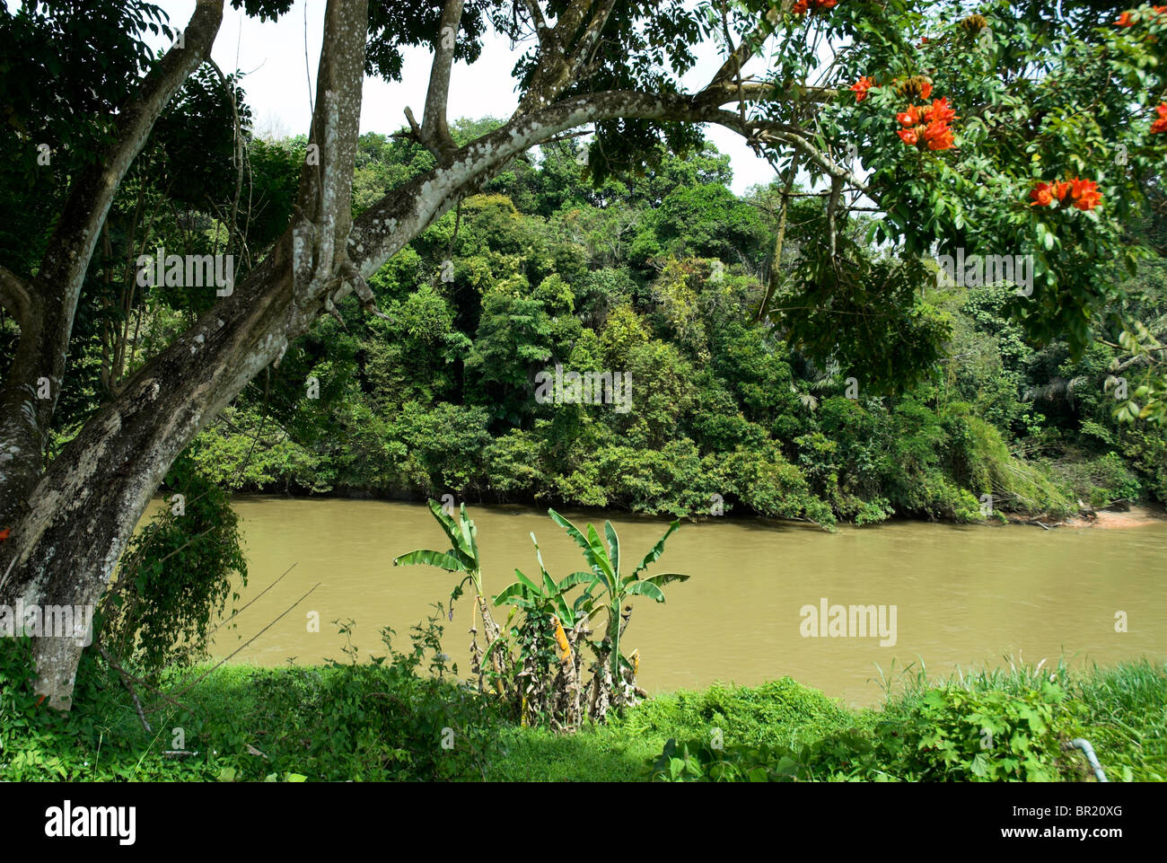 River at Kuala Lipis on Malaysia's Jungle Railway Stock Photo - Alamy