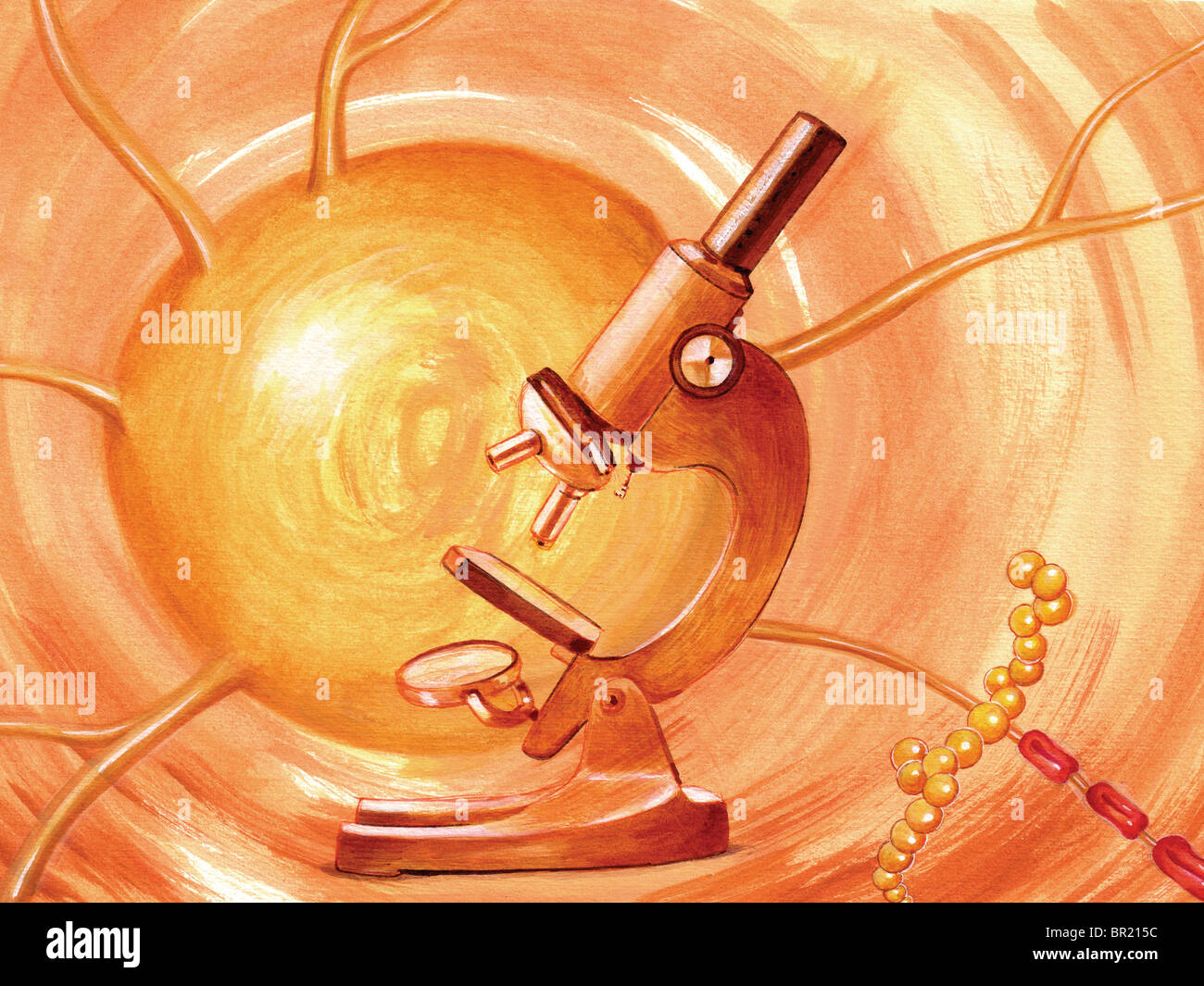 Cells microscope orange hi-res stock photography and images - Alamy