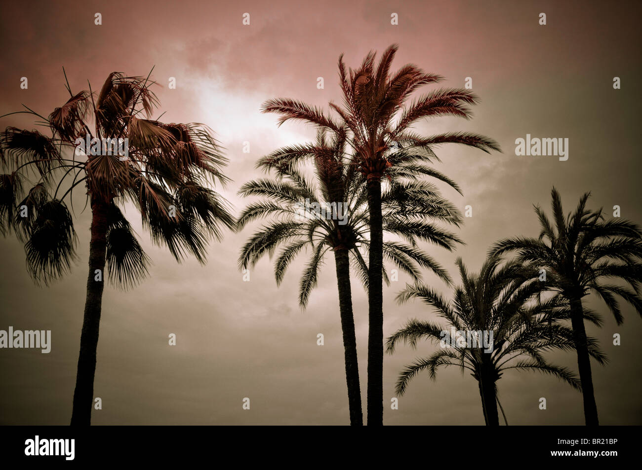 Creative sunset hi-res stock photography and images - Alamy