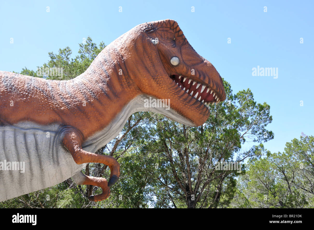 Tyrannosaurus Rex, Dinosaur World, Glen Rose, Texas, USA Stock Photo ...