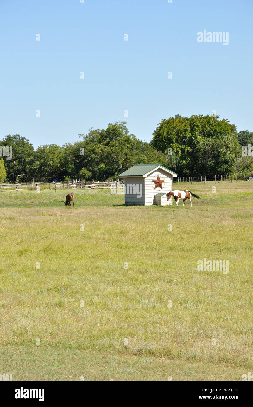 Texas ranch, USA Stock Photo - Alamy