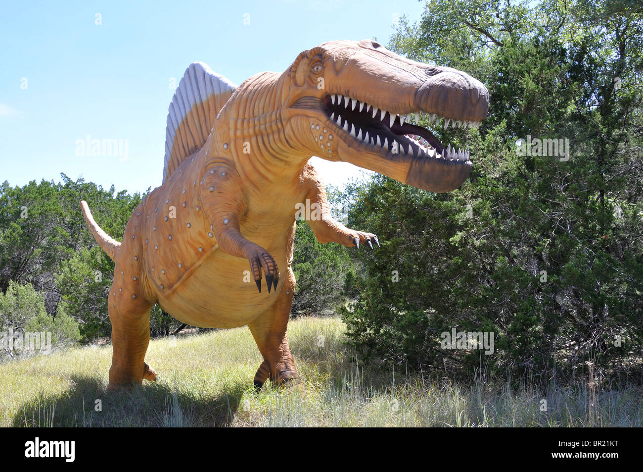 Spinosaurus, Dinosaur World, Glen Rose, Texas, USA Stock Photo - Alamy