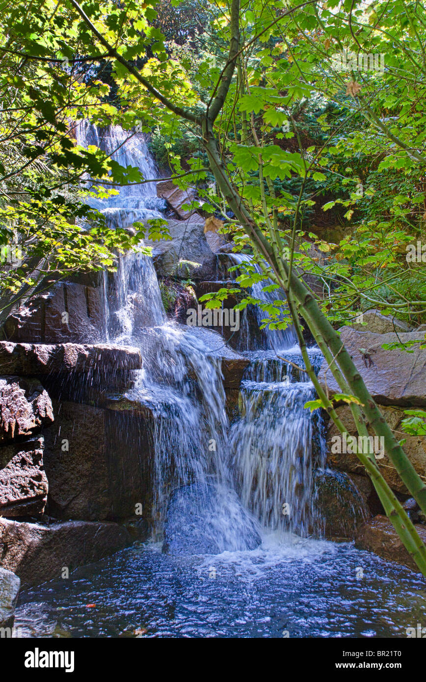 Rei seattle hi-res stock photography and images - Alamy