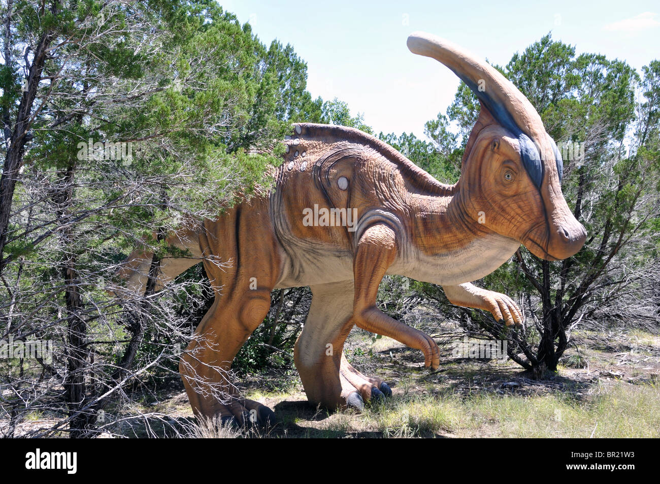 Dinosaur dinosaurs dino parasaurolophus world museum exhibition glen ...