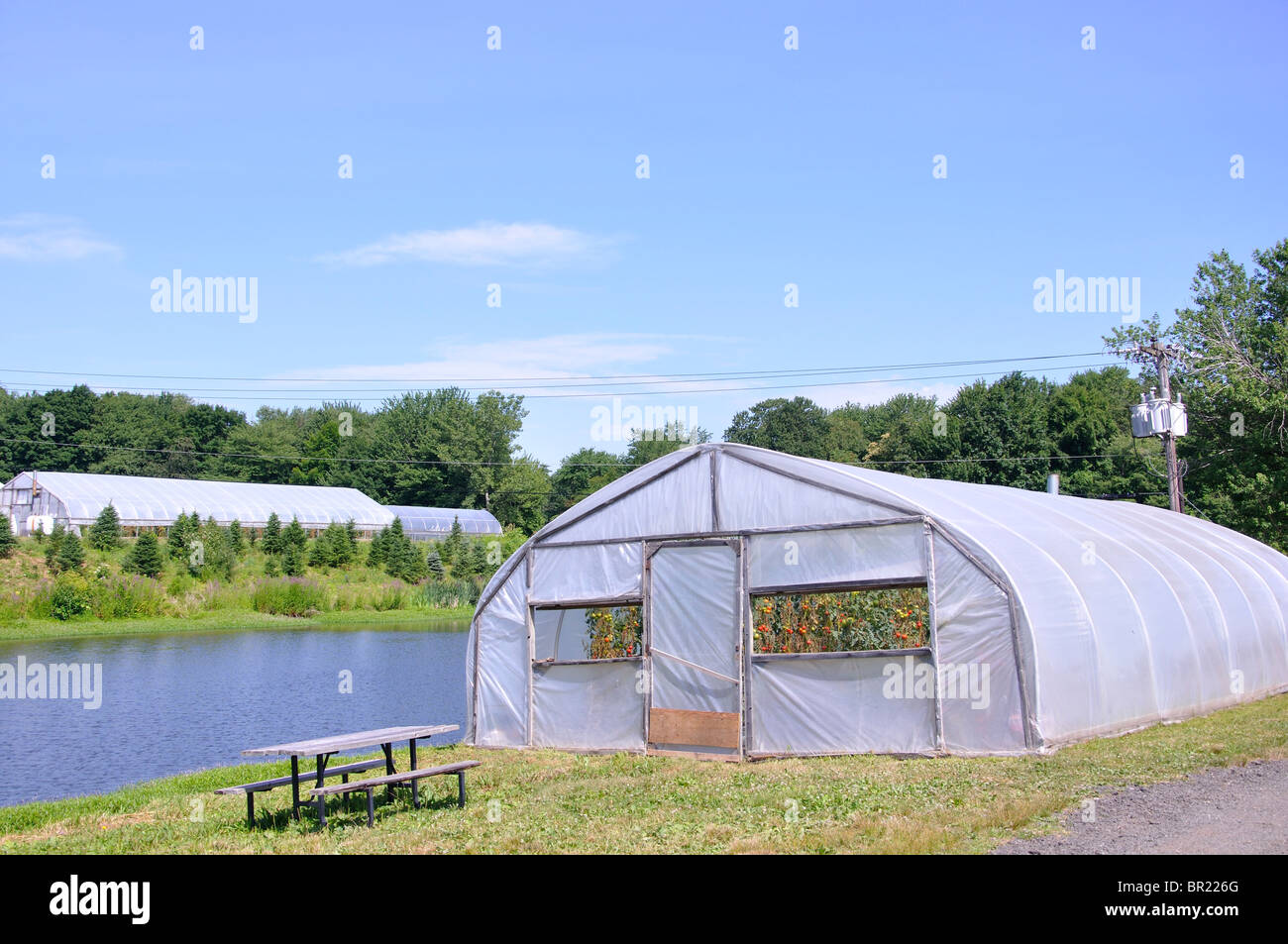 Farm in New England, Connecticut, USA Stock Photo - Alamy