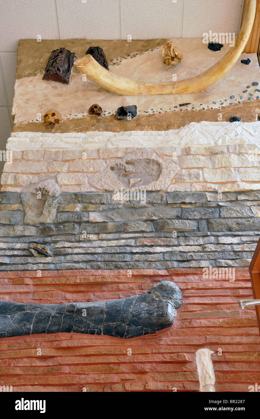 Geologic column in Creation Evidence Museum, Glen Rose, Texas, USA ...