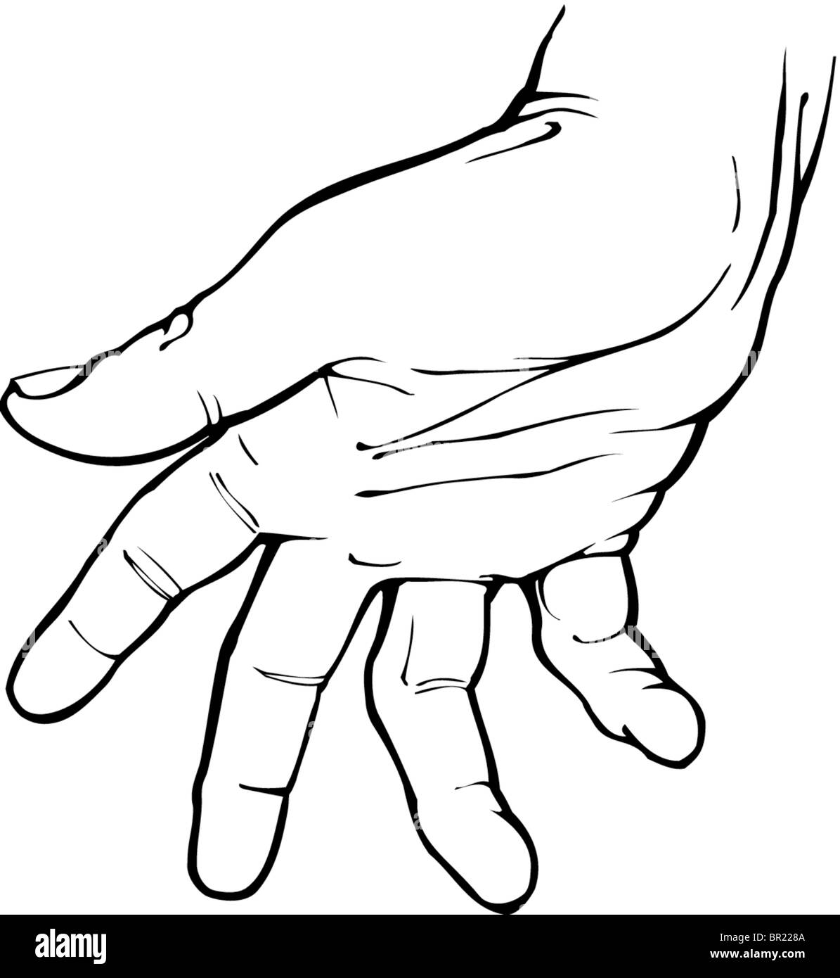 Hand palm lines Cut Out Stock Images & Pictures - Alamy