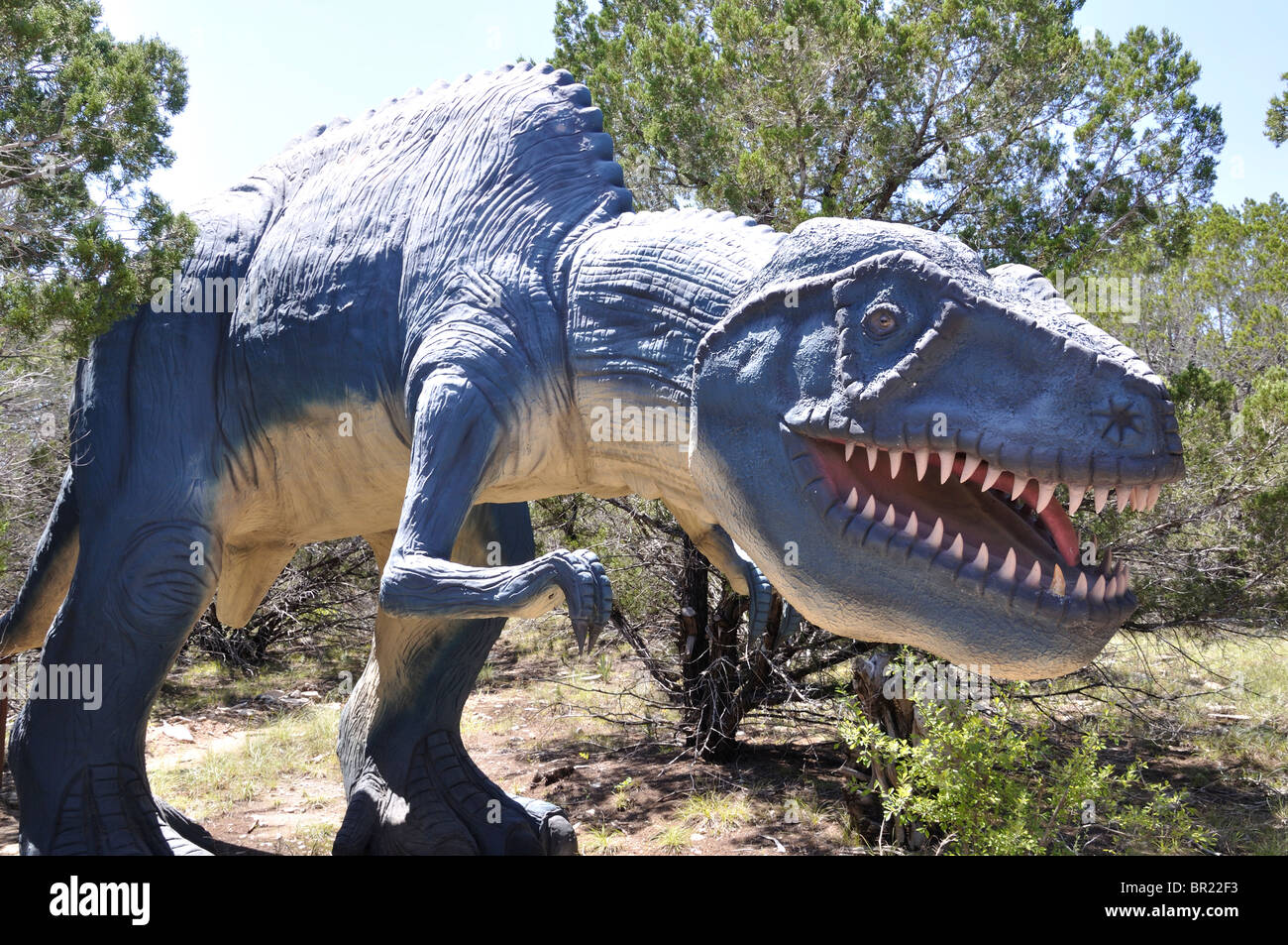 Dryptosaurus, Dinosaur World, Glen Rose, Texas, USA Stock Photo - Alamy