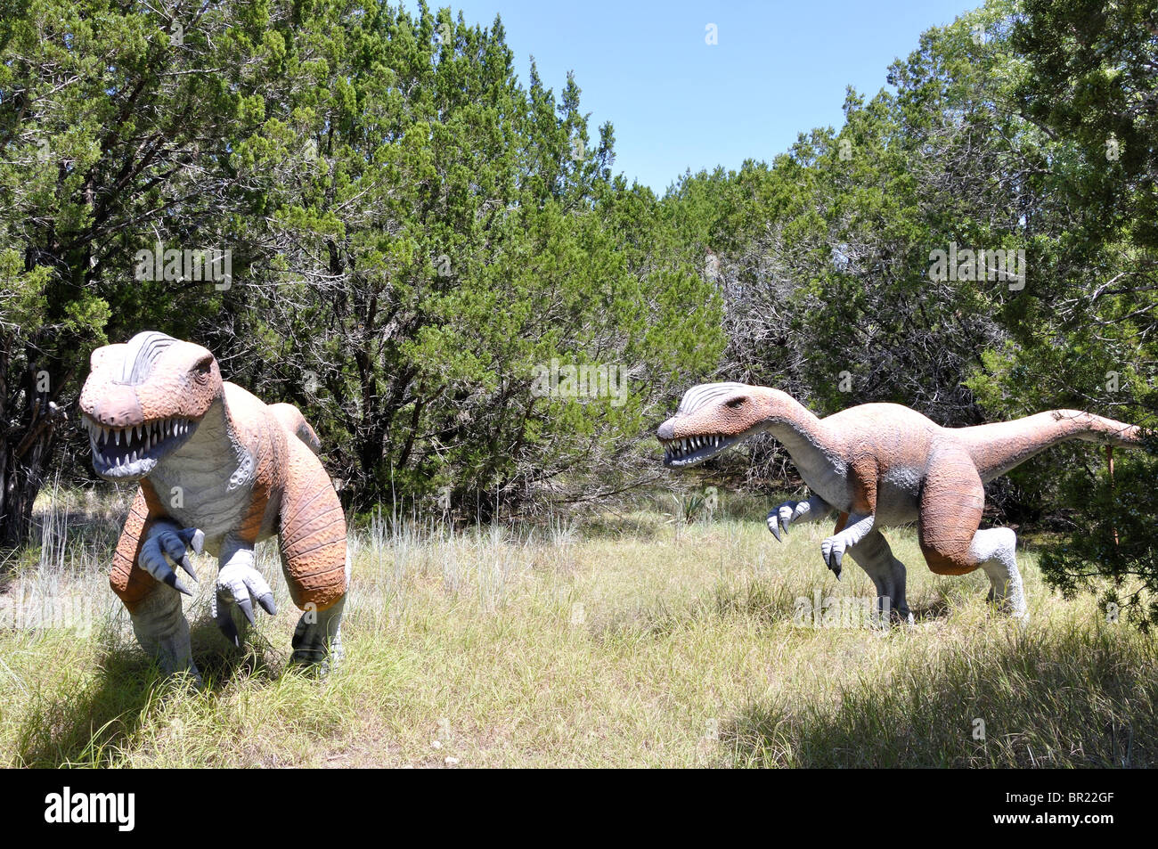 Liliensternus, Dinosaur World, Glen Rose, Texas, USA Stock Photo - Alamy