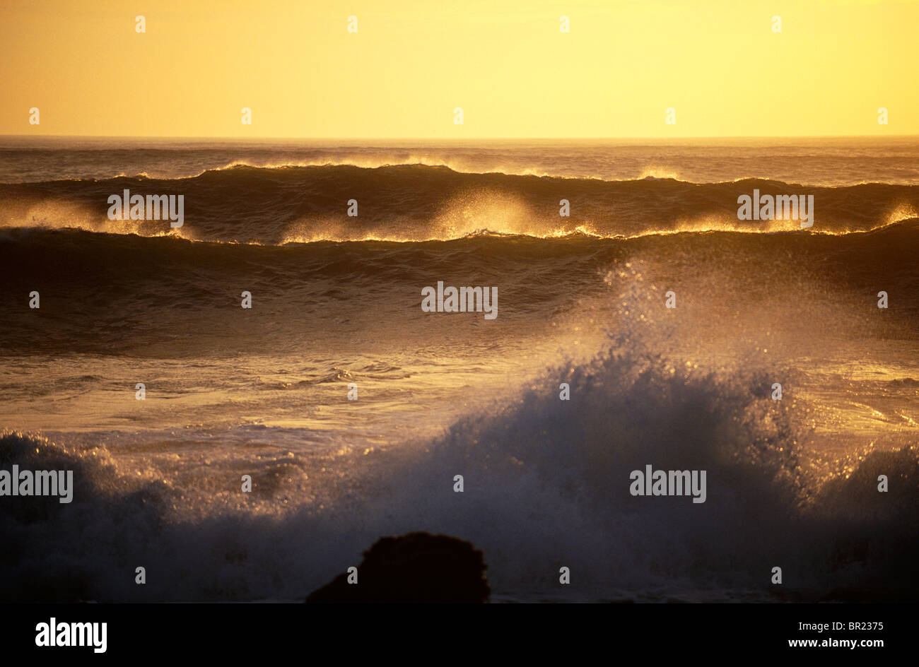 Waves at sunset, Bodega Bay Stock Photo - Alamy