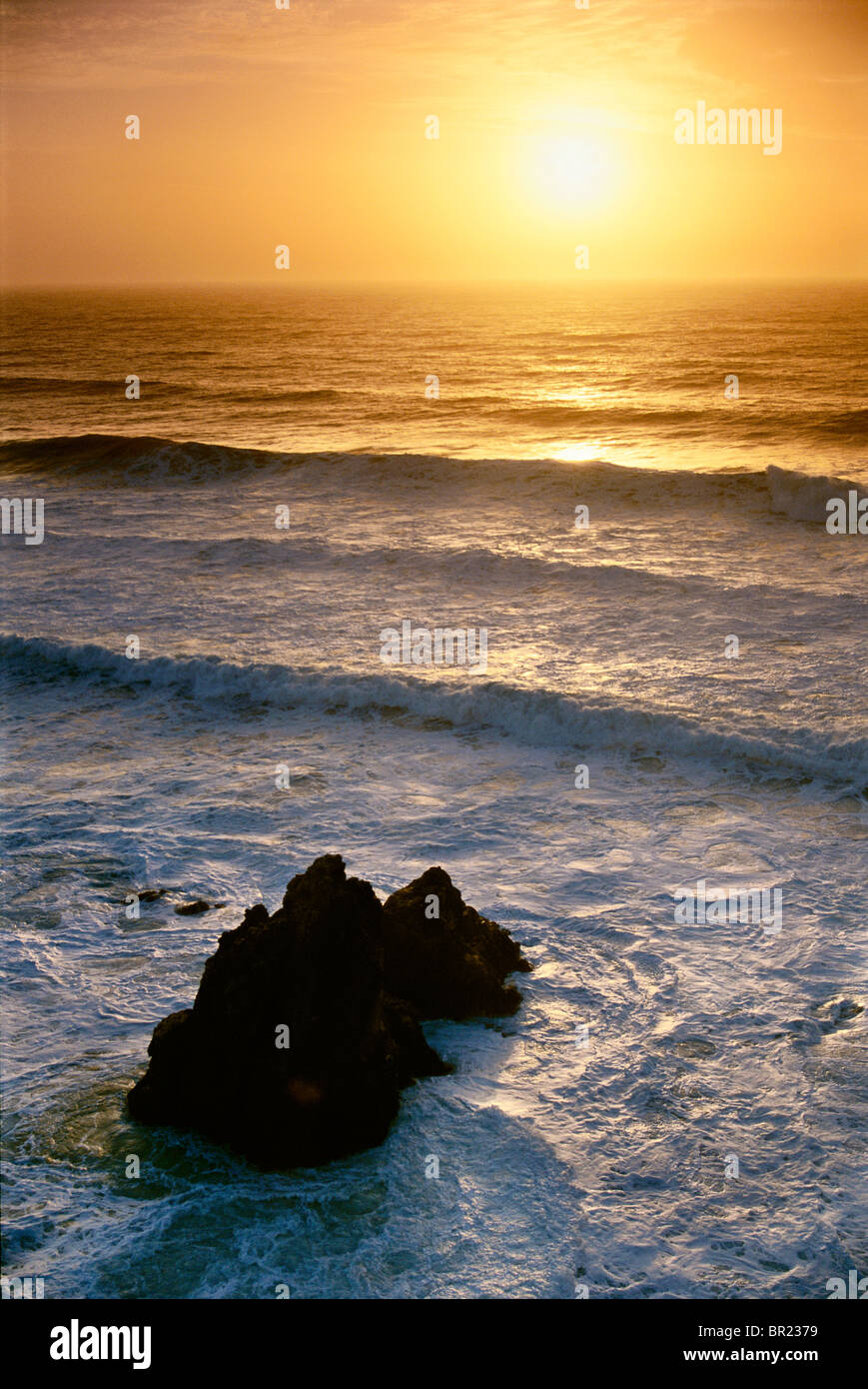 seastack and sunset, bodega head Stock Photo - Alamy
