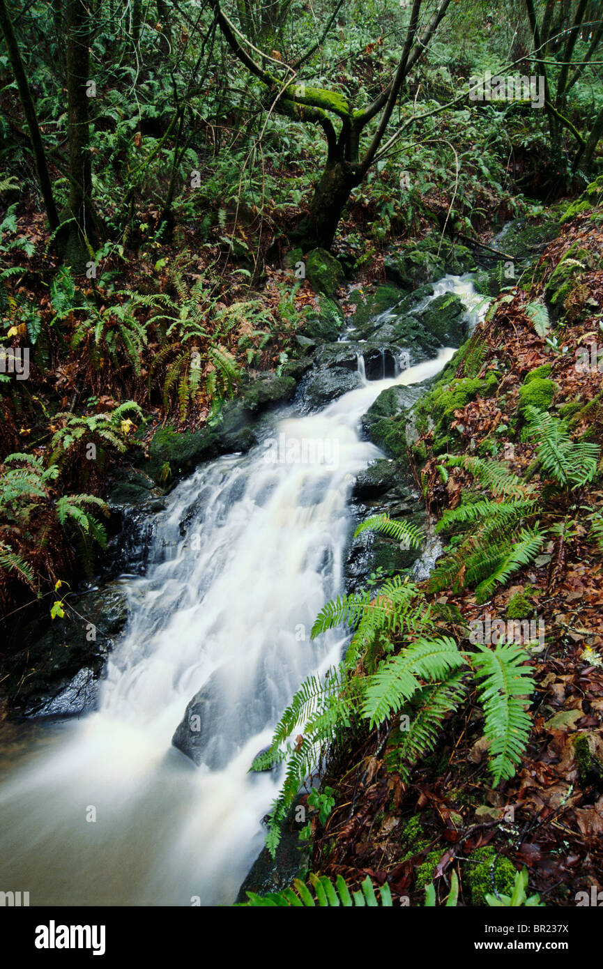 Cascade in California's Coast Range Stock Photo - Alamy
