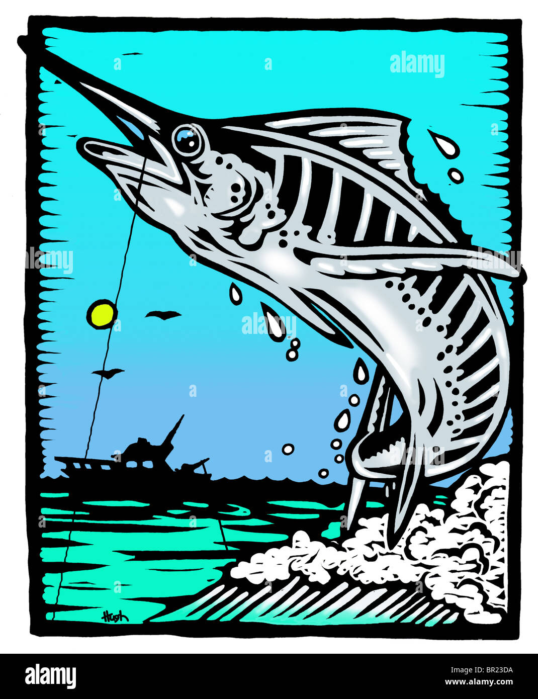 Sword fish hi-res stock photography and images - Alamy