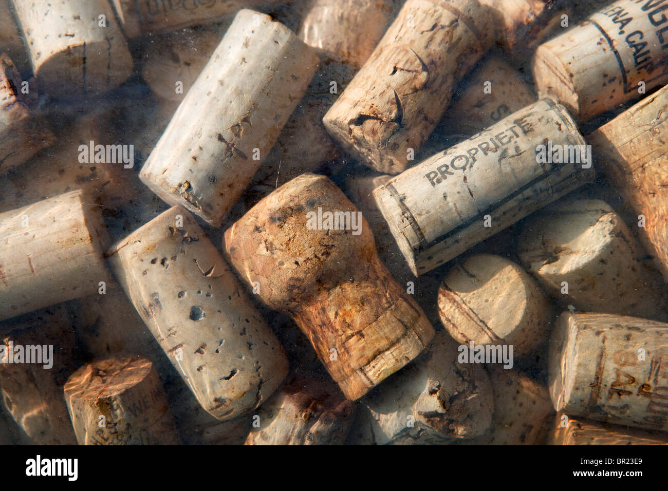 Discarded wine corks hi-res stock photography and images - Alamy