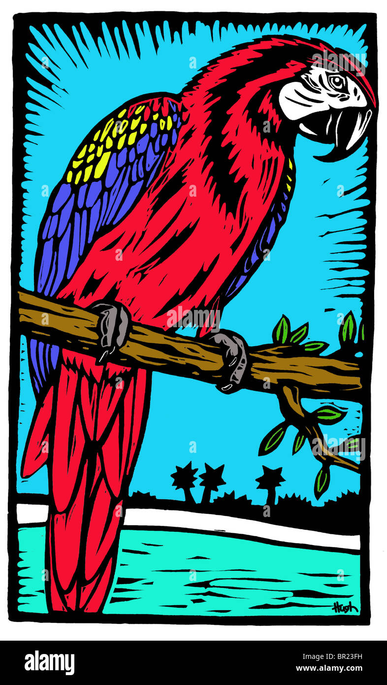 Illustrations parrot hi-res stock photography and images - Alamy