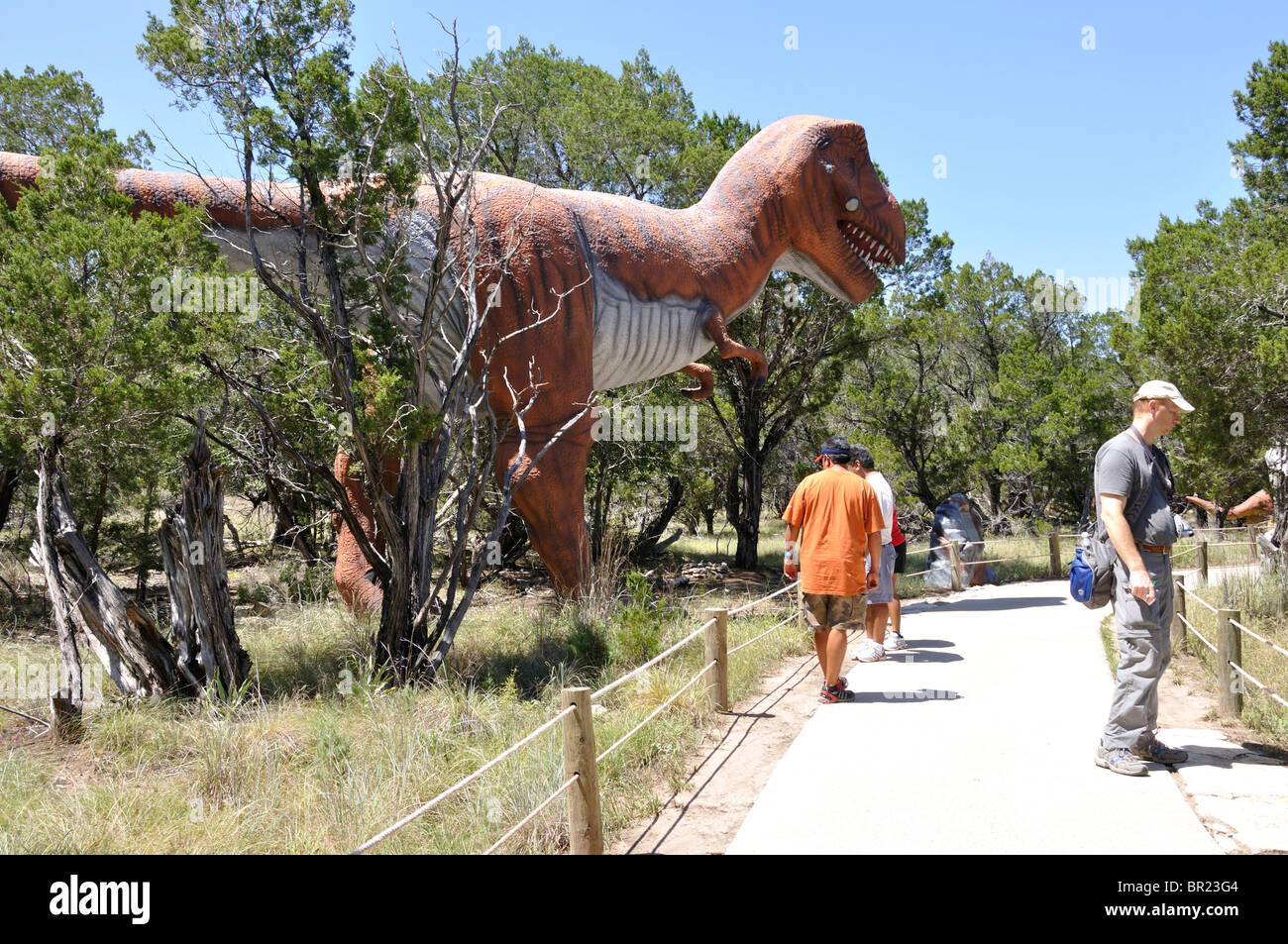 Tyrannosaurus Rex, Dinosaur World, Glen Rose, Texas, USA Stock Photo ...
