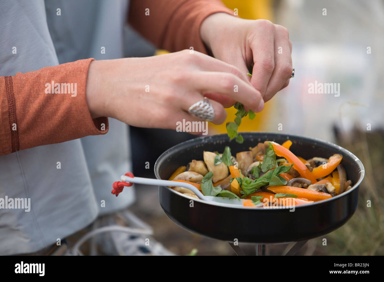 Food being cooked over camp stove Stock Photo - Alamy