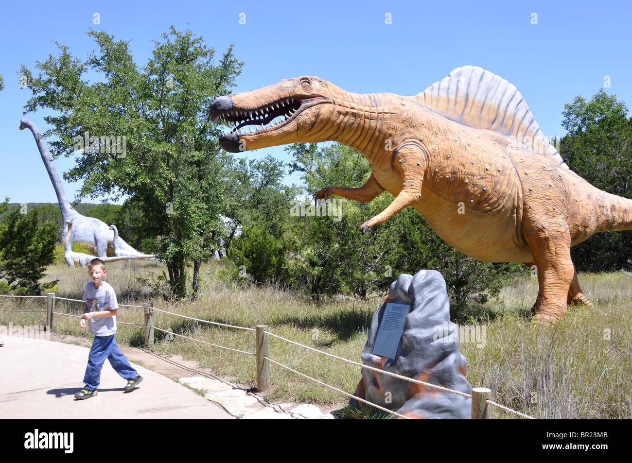 Spinosaurus, Dinosaur World, Glen Rose, Texas, USA Stock Photo - Alamy