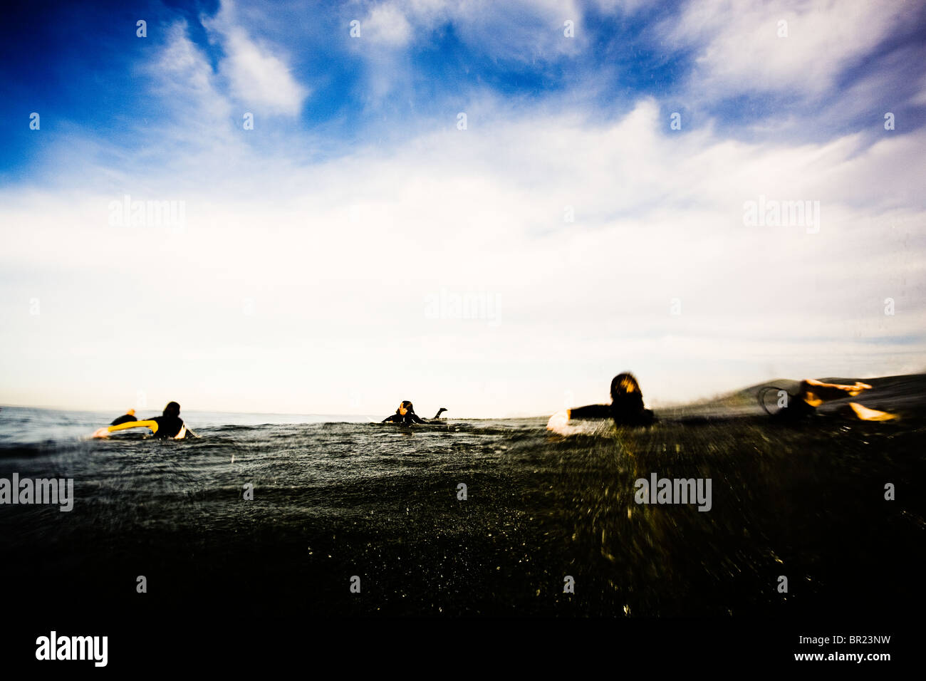 Surfers paddle out in the surf Stock Photo - Alamy