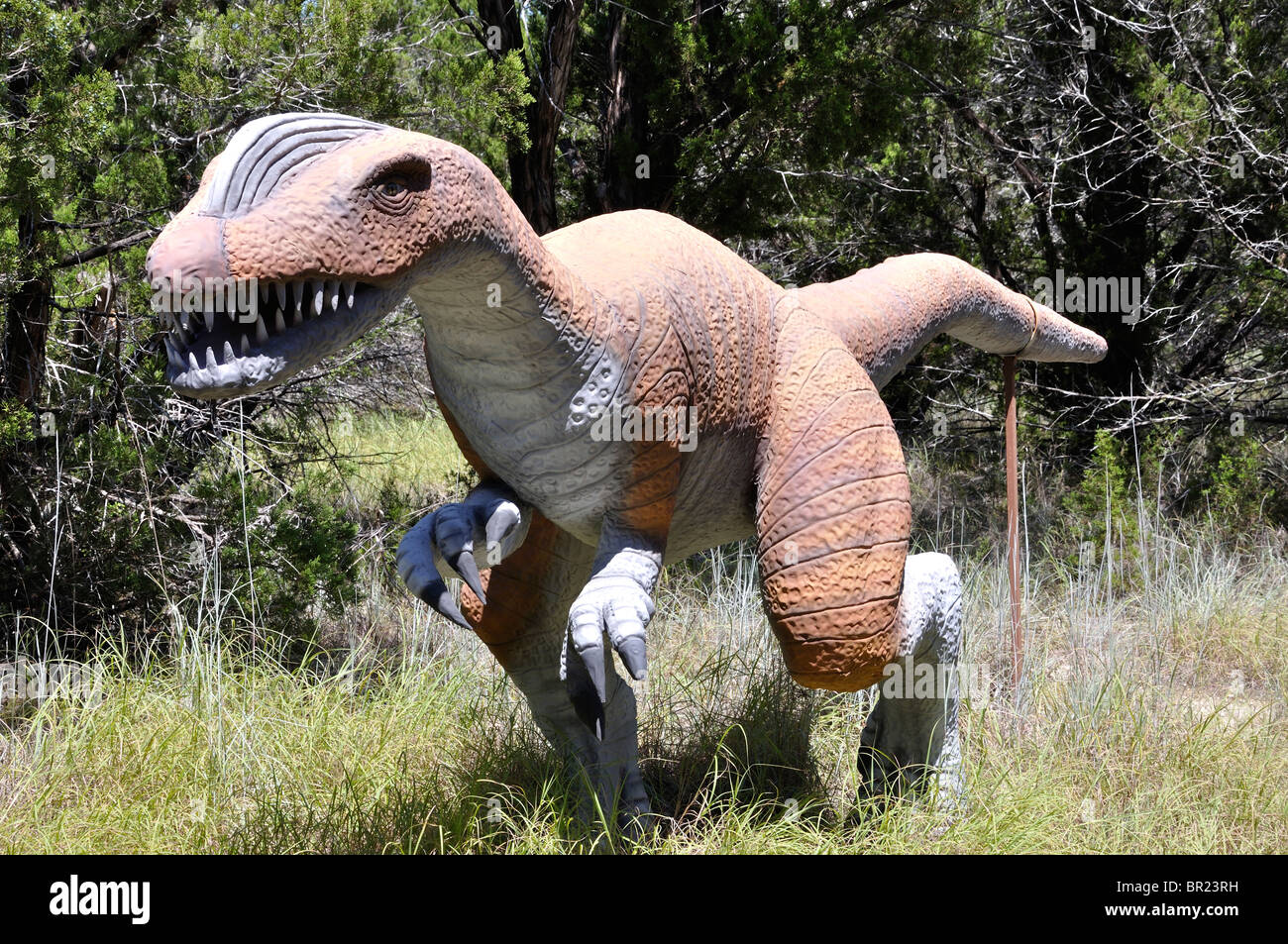 Walking With Dinosaurs Liliensternus