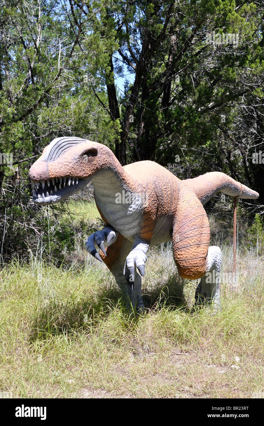 Liliensternus, Dinosaur World, Glen Rose, Texas, USA Stock Photo - Alamy