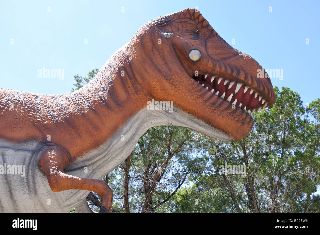 Tyrannosaurus Rex, Dinosaur World, Glen Rose, Texas, USA Stock Photo ...