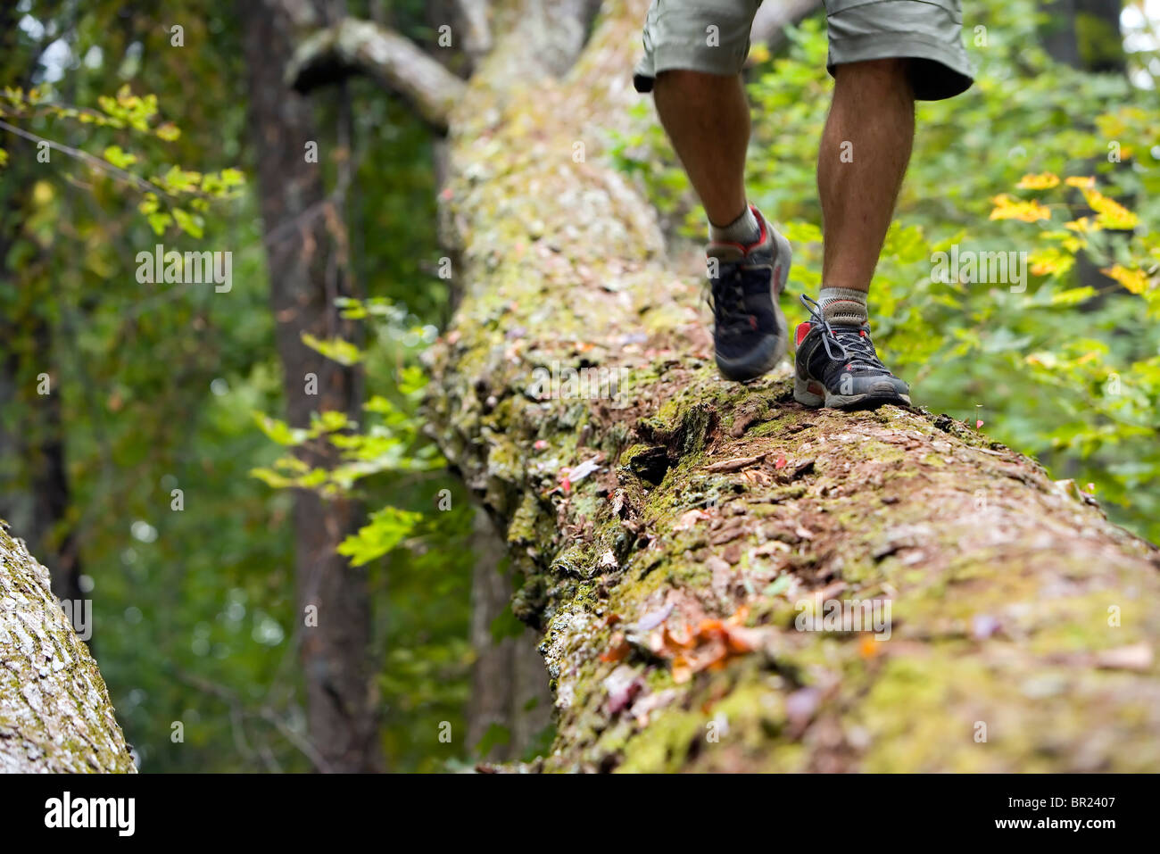 Man walking along a log Stock Photo - Alamy
