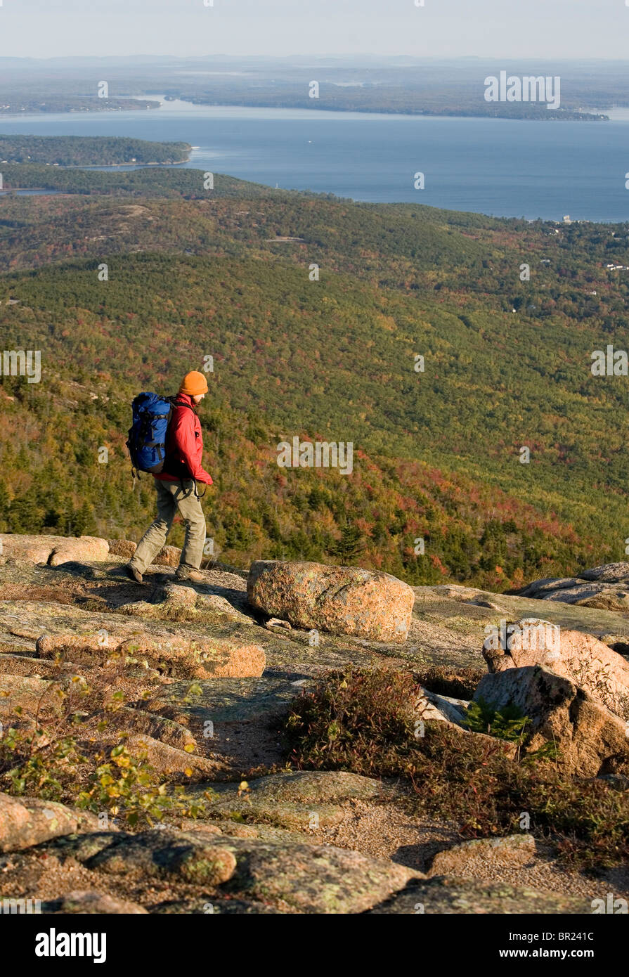 Cadillac Mountain, Acadia National Park Stock Photo - Alamy