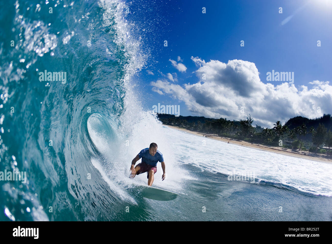 Music Star; Jack Johnson surfing in Hawaii Stock Photo - Alamy