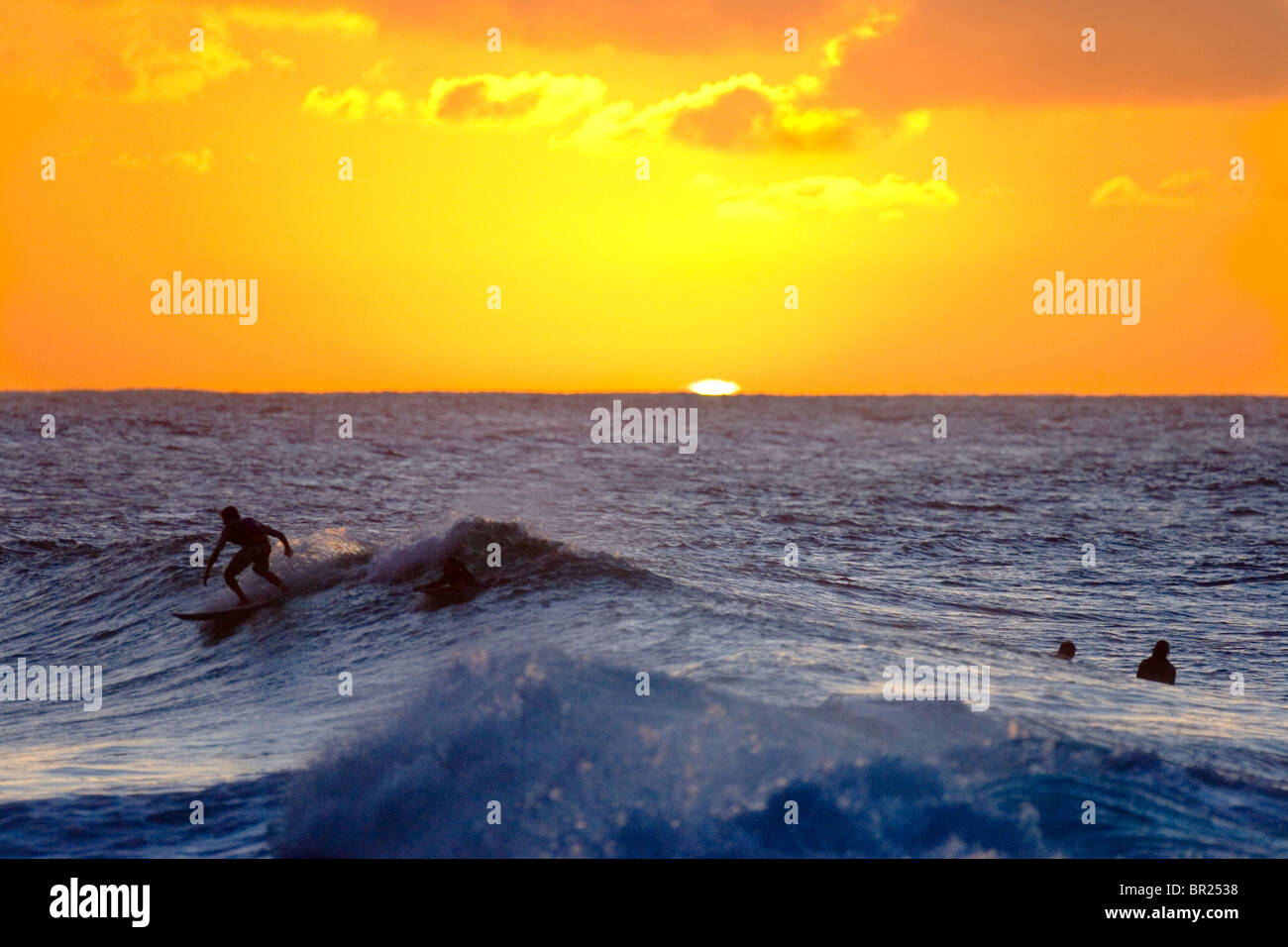 surfing with the sun setting in Hawaii Stock Photo - Alamy