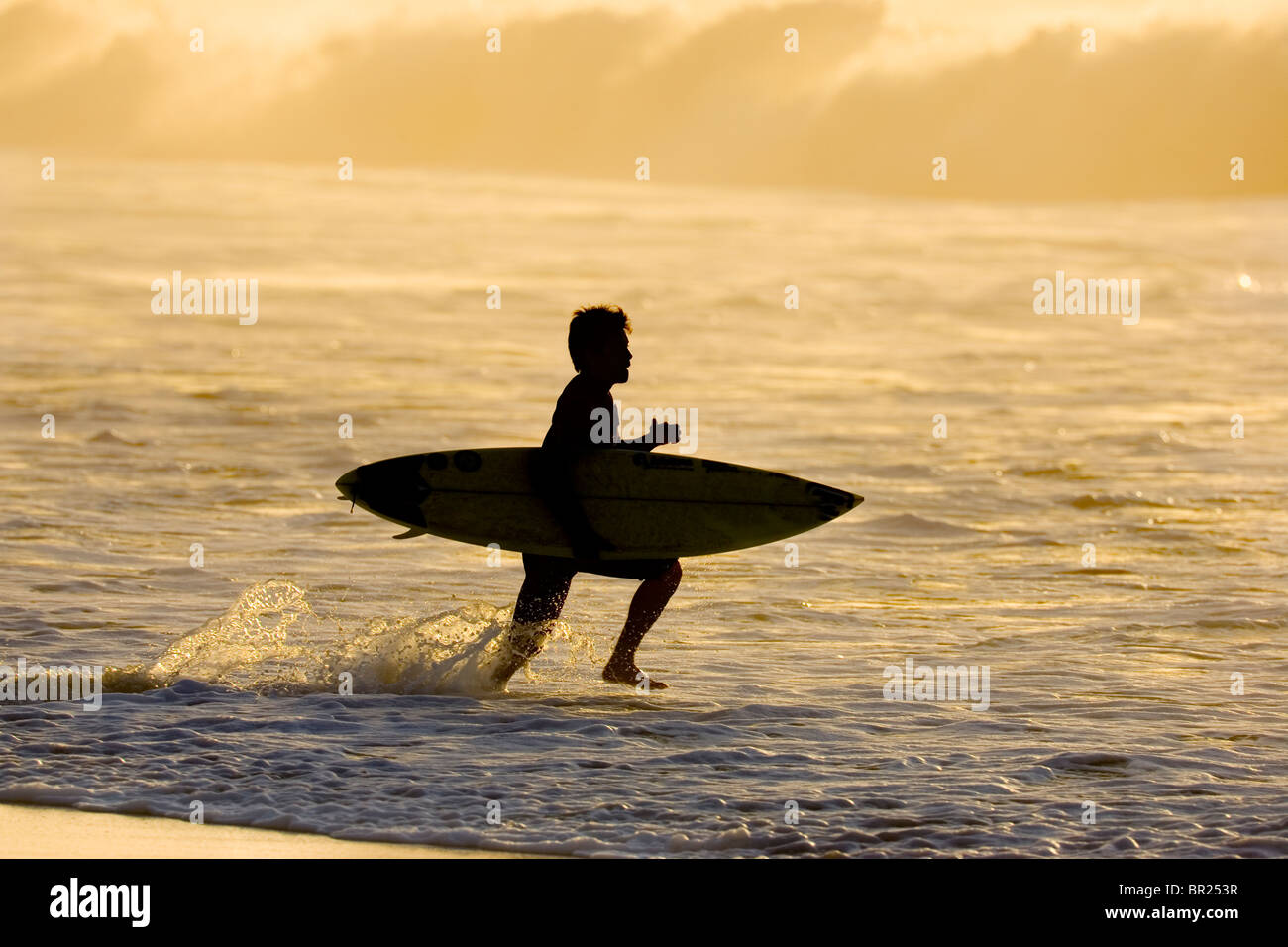 silhouette of man with surfboard running into surf in Hawaii Stock ...