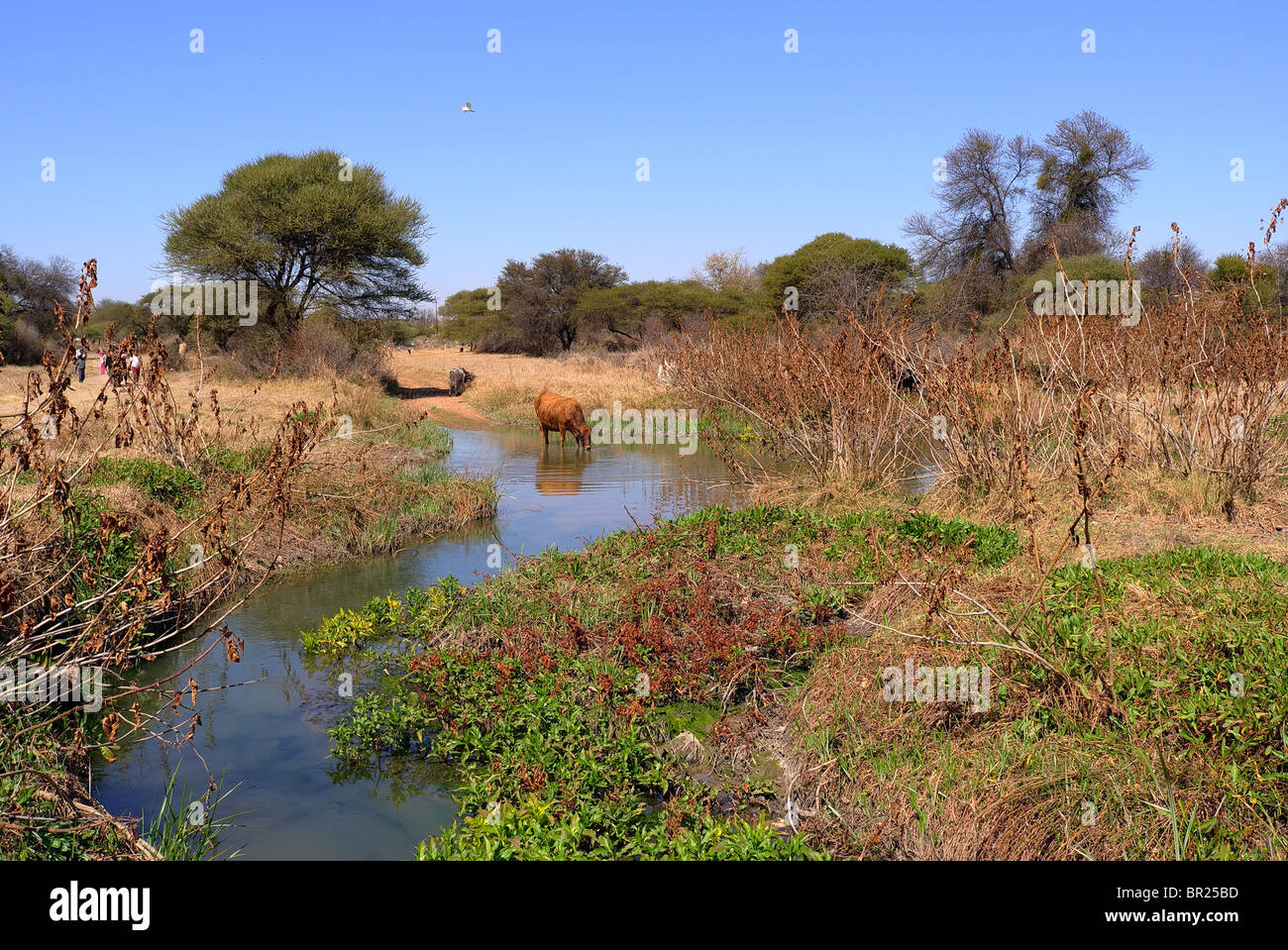 Mochudi hi-res stock photography and images - Alamy