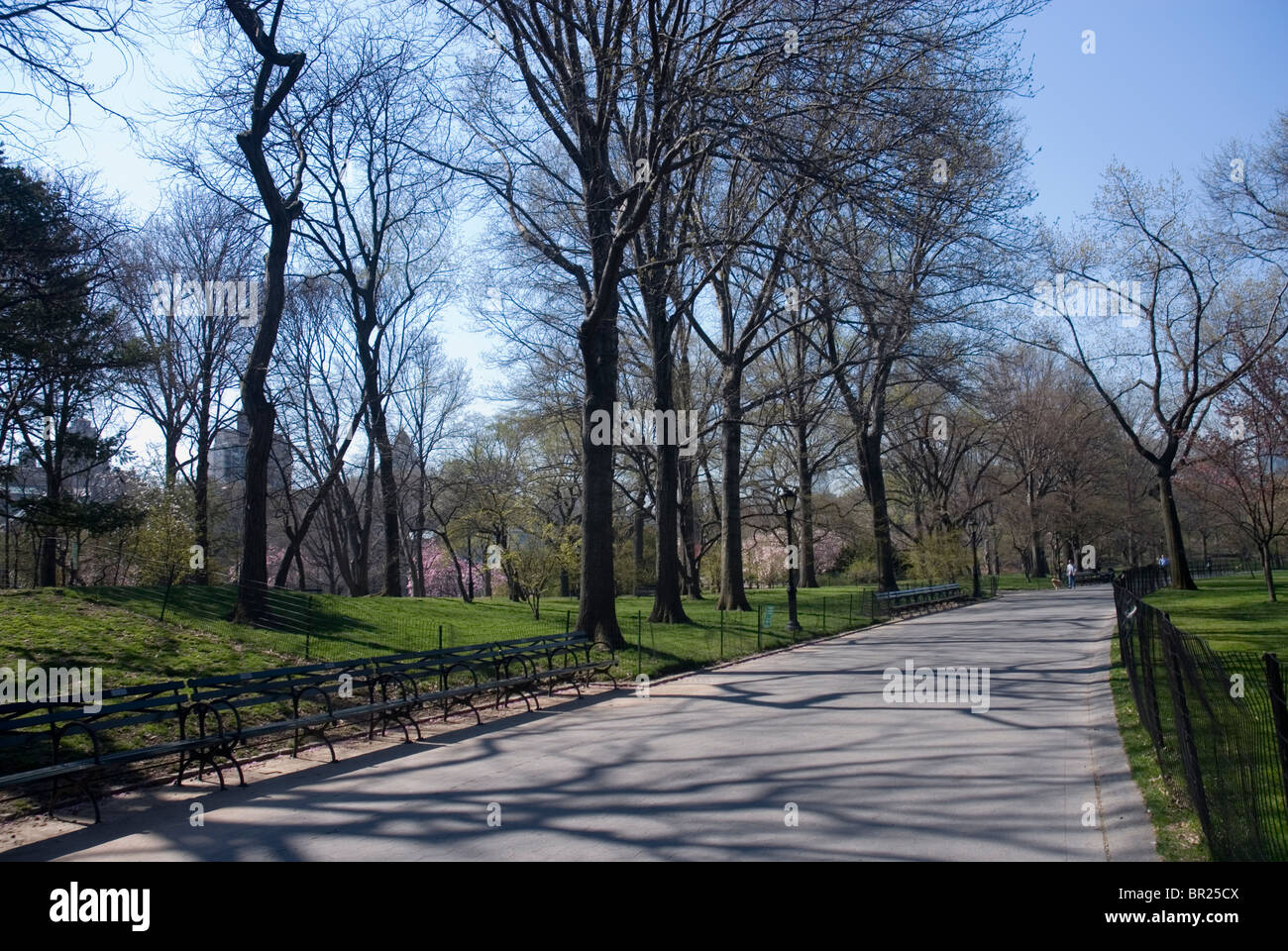 Walkway path in Central Park, New York City Stock Photo - Alamy