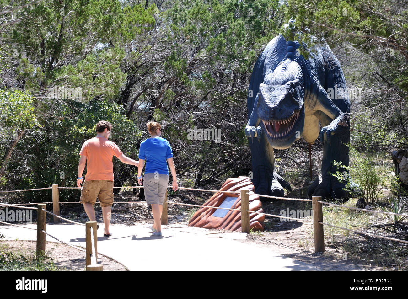Dryptosaurus, Dinosaur World, Glen Rose, Texas, USA Stock Photo - Alamy