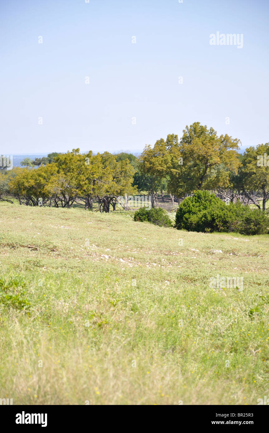Texas landscape, USA Stock Photo - Alamy