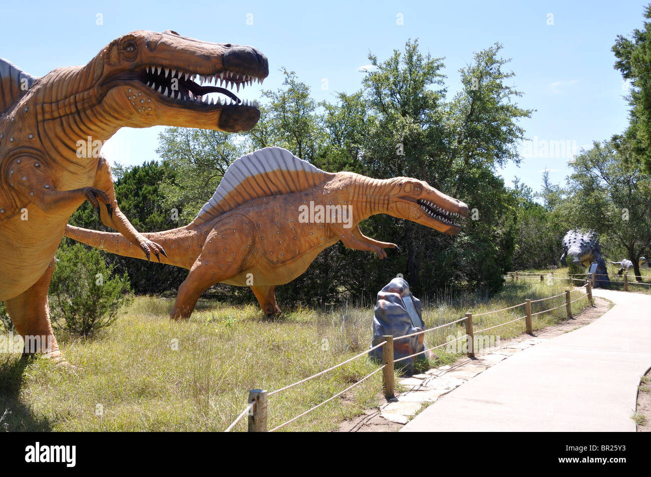 Spinosaurus, Dinosaur World, Glen Rose, Texas, USA Stock Photo - Alamy