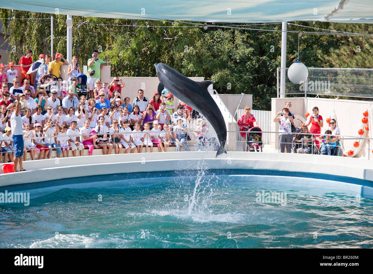 Dolphinarium aquarium hi-res stock photography and images - Alamy