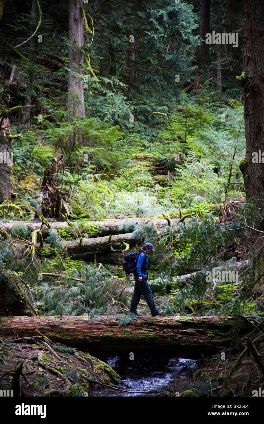 The Cascade Range. Hiking in the Cascade Range outside Seattle Stock ...