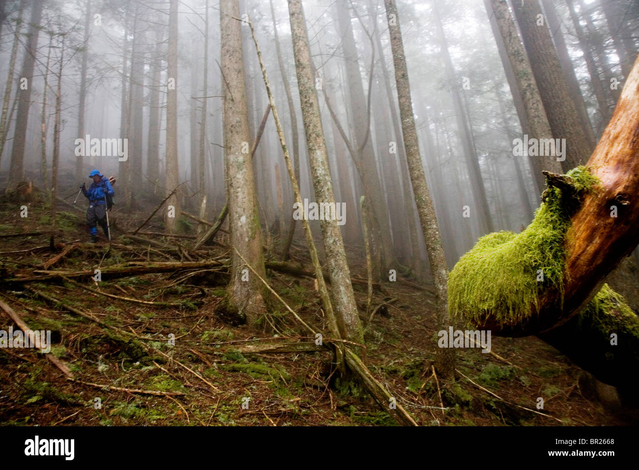 Cascade range seattle hi-res stock photography and images - Alamy