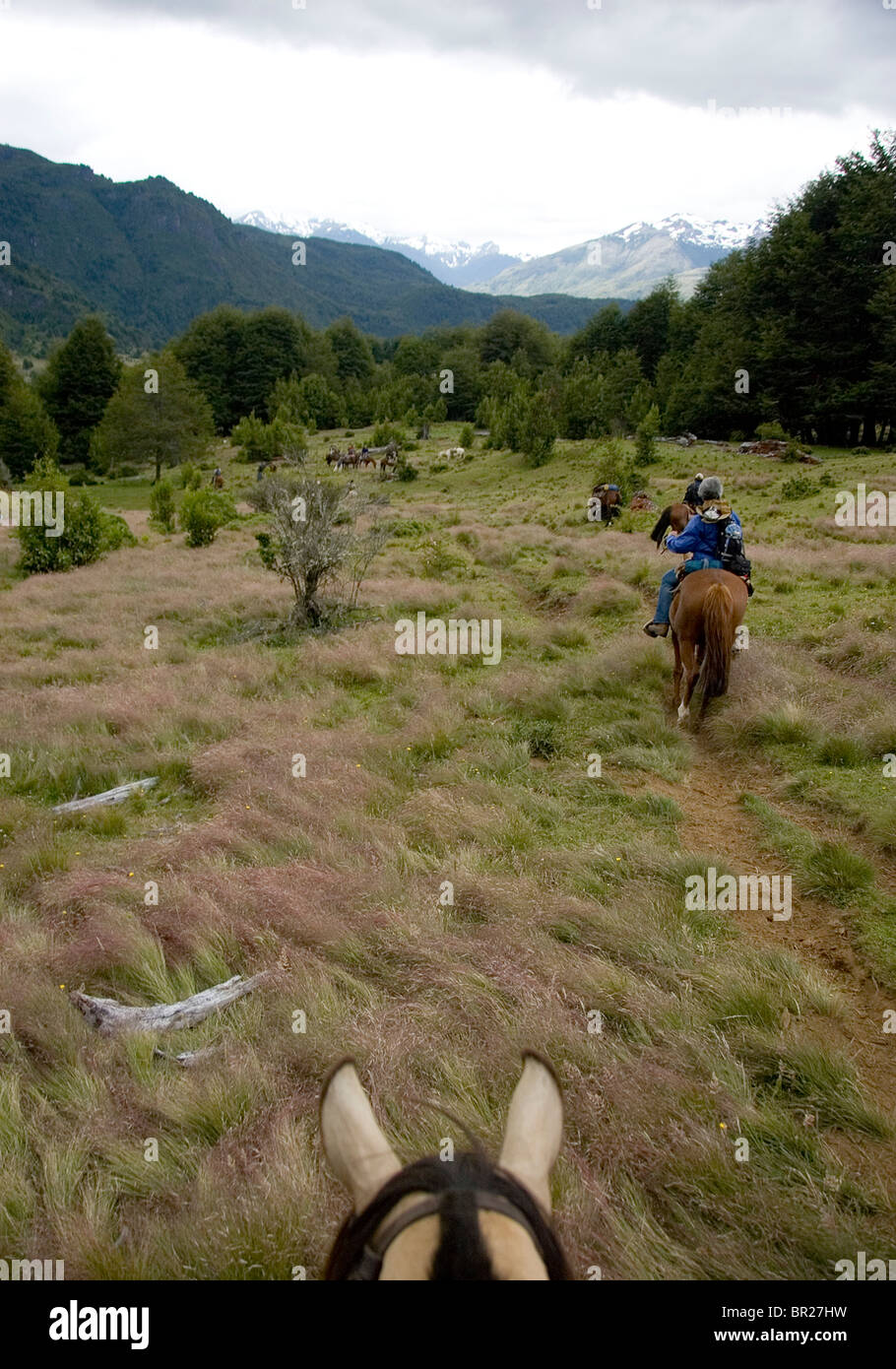 Woman rides a horse hi-res stock photography and images - Alamy
