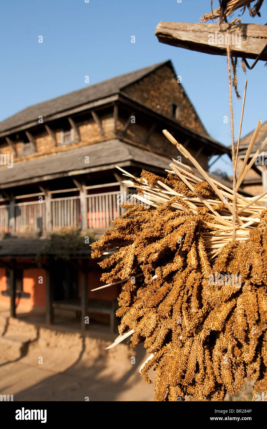 Rampur village hi-res stock photography and images - Alamy