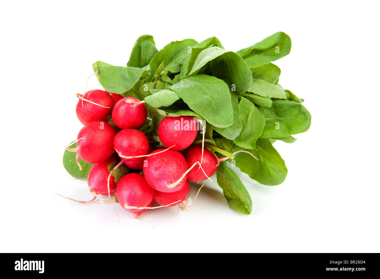 bunch of fresh radish over white background Stock Photo - Alamy