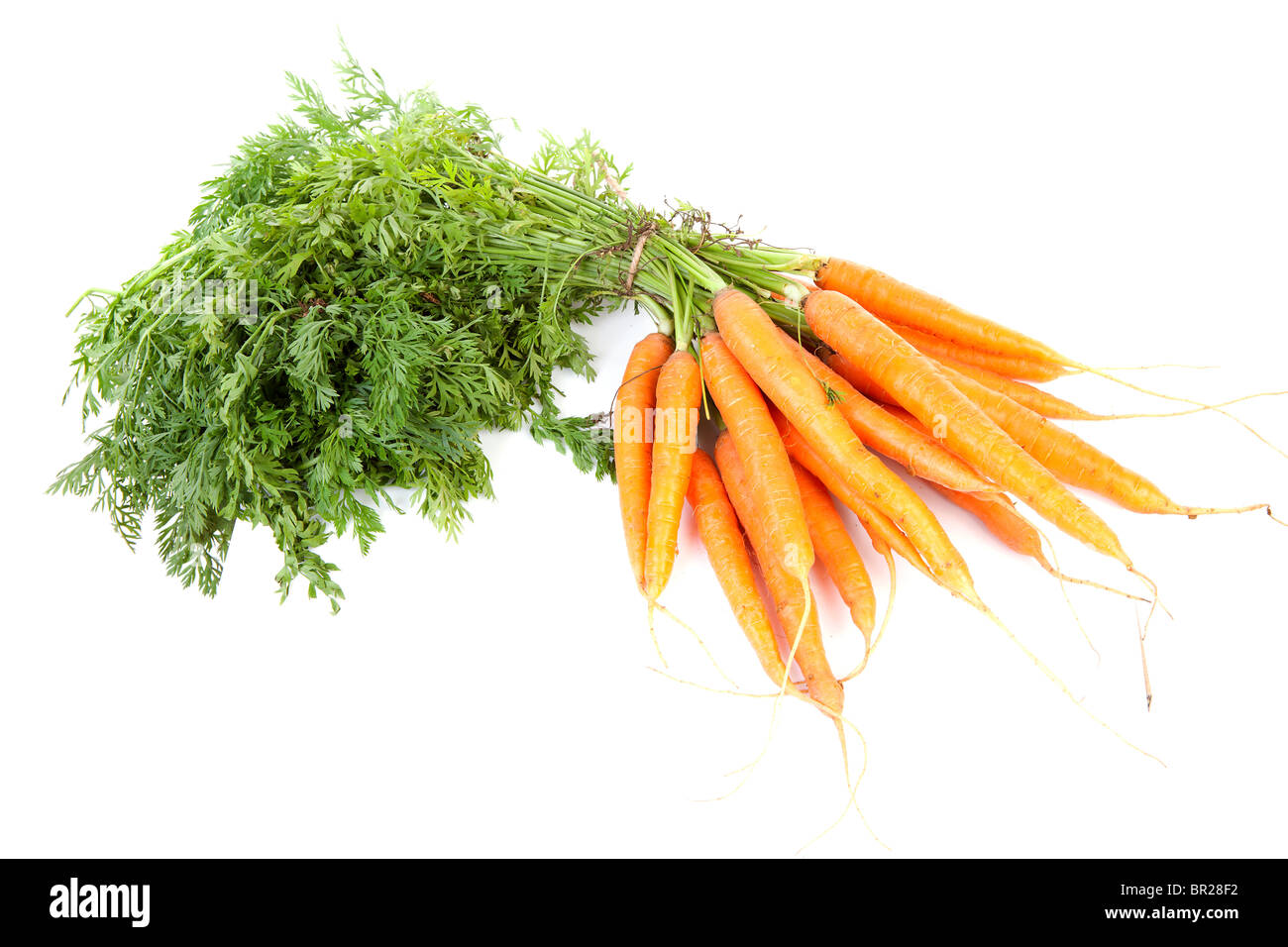 bunch of fresh carrots isolated on white background Stock Photo - Alamy