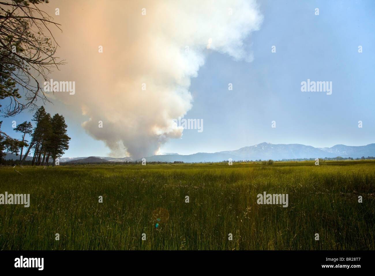 Day one of the Angora Fire in South Lake Tahoe, CA Stock Photo - Alamy