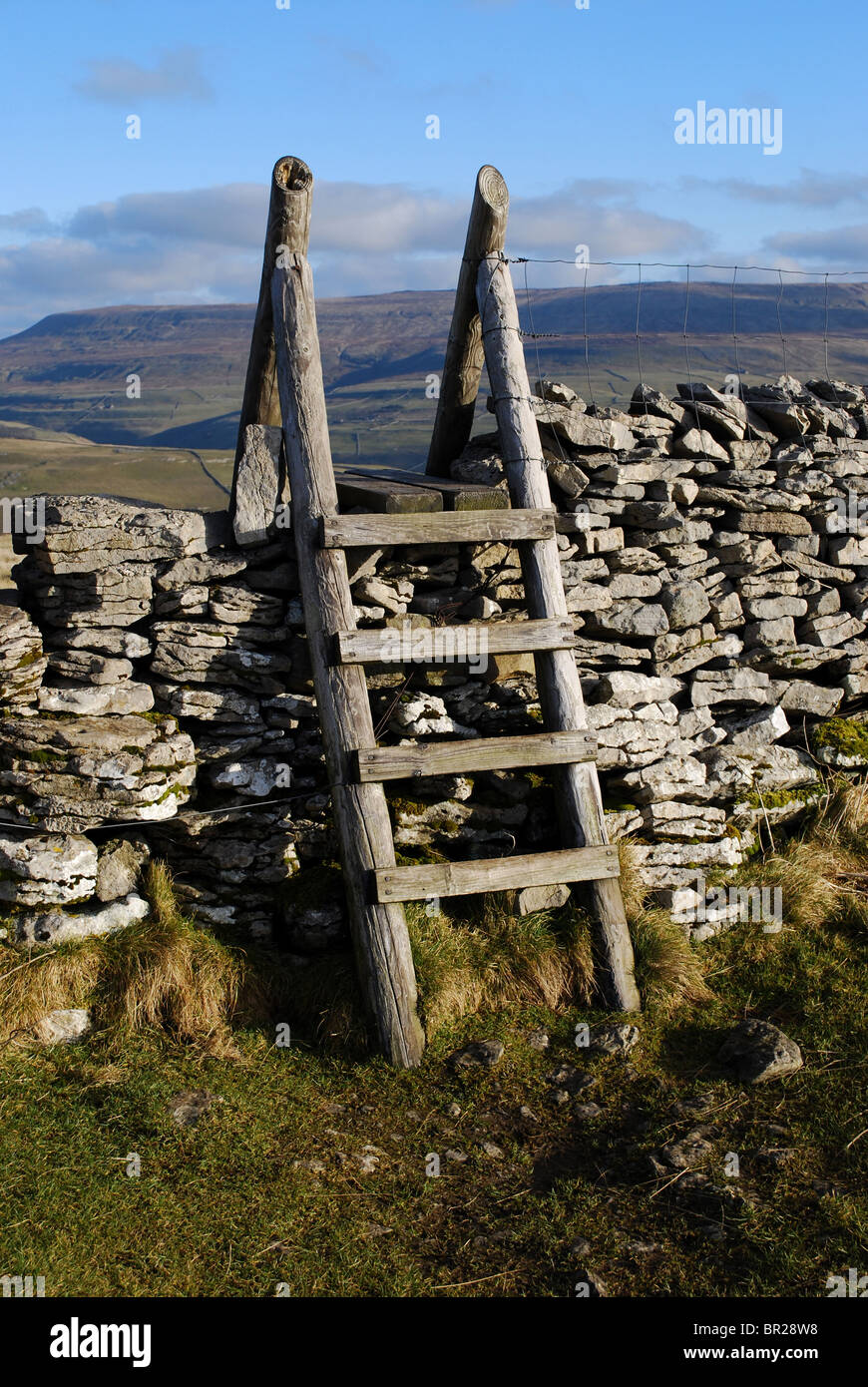A ladder stile over a dry stone wall in Wharfedale North Yorkshire ...
